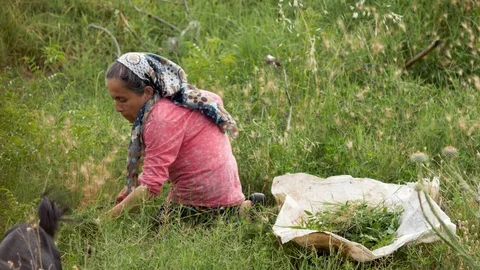 Old Woman Humping Stock Footage ~ Royalty Free Stock Videos | Pond5