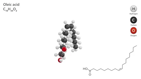 Oleic Acid. 3D model of a molecule. C18H... | Stock Video | Pond5