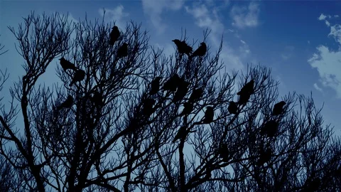 Plotting Stock Footage ~ Royalty Free Stock Videos | Pond5