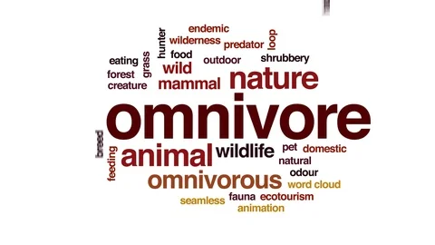 Omnivore animated word cloud. Kinetic ty... | Stock Video | Pond5
