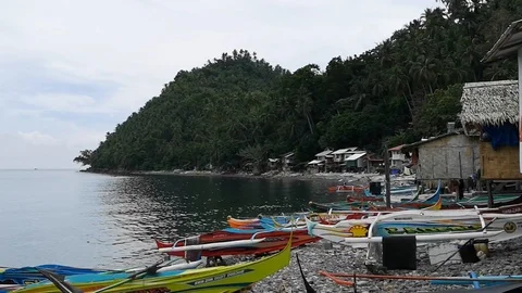 Been Live Stock Videos – Royalty-Free HD & 4K Videos