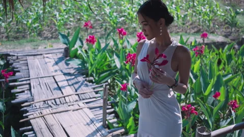 Asian Woman Elegant Stock Videos – Royalty-Free HD & 4K Videos