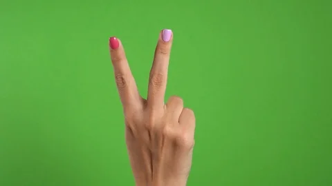 V2Ph Female Models Stock Videos – Royalty-Free HD & 4K Videos