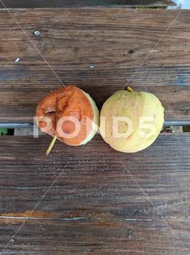 One fresh red and one rotten apples are on a wooden background ...