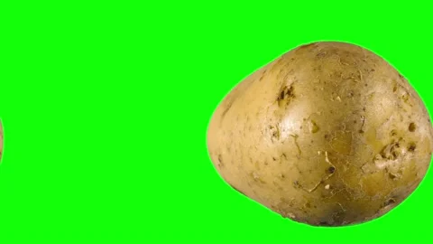 One large potato spinning against a gree... | Stock Video | Pond5