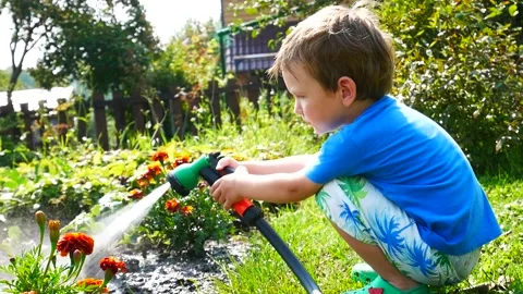 Horticulturist One Stock Videos – Royalty-Free HD & 4K Videos