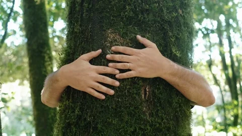 One man behind a tree hugging the trunk ... | Stock Video | Pond5