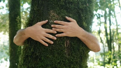 One man bonding a tree trunk in the fore... | Stock Video | Pond5