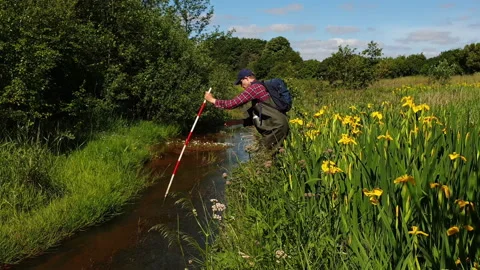 One Man Pole Stock Videos – Royalty-Free HD & 4K Videos