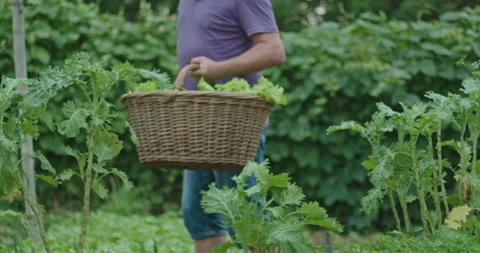 Older One Stock Videos – Royalty-Free HD & 4K Videos | Pond5