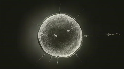 Only This One Stock Videos – Royalty-Free HD & 4K Videos | Pond5