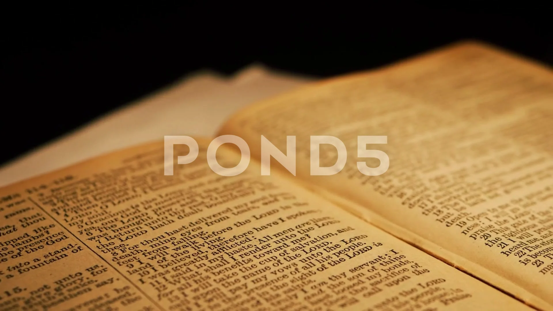 Open Bible Page