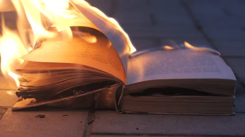 An open book is on fire | Stock Video | Pond5