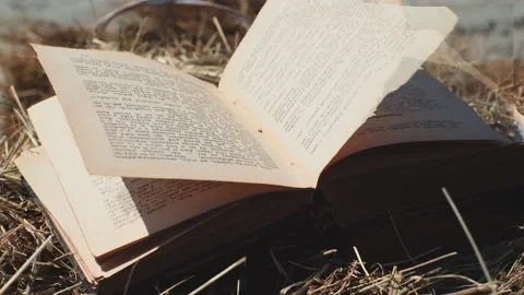 Open book with flipped pages. Wind blows... | Stock Video | Pond5