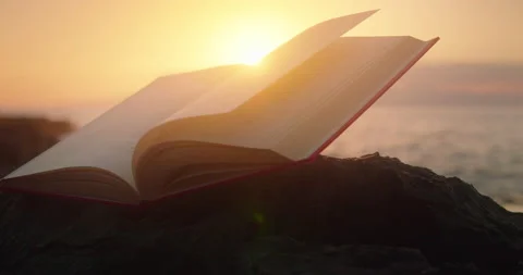 Open book illuminated by sunlight at sun... | Stock Video | Pond5