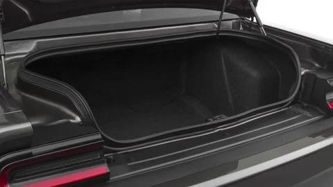 Ebony Back Shots Stock Footage ~ Royalty Free Stock Videos | Pond5