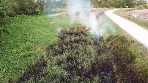 Open fire to the grass by farmer at Mala... | Stock Video | Pond5