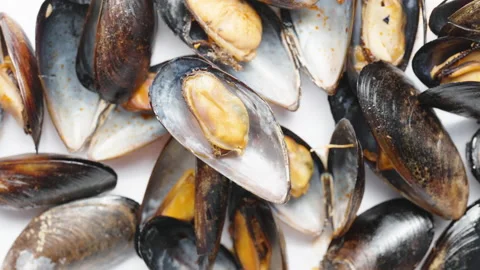 An open shell with a mussel rotates agai... | Stock Video | Pond5