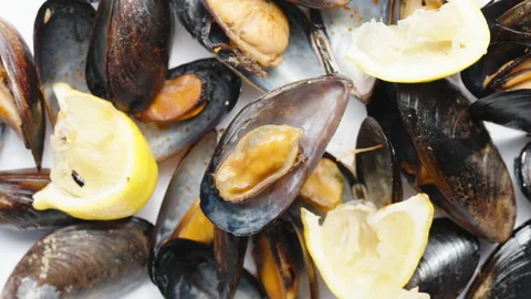 An open shell with a mussel rotates agai... | Stock Video | Pond5