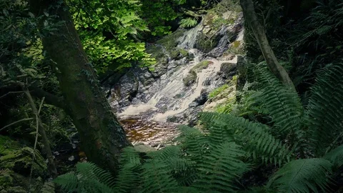 Opening In The Forest With Small Waterfa... | Stock Video | Pond5