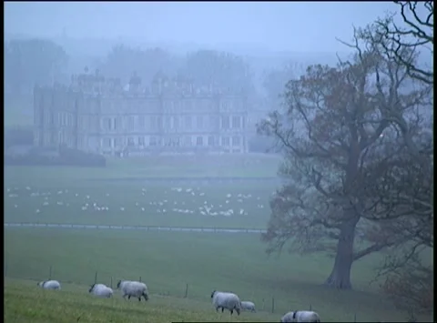 Story Openng Stock Videos – Royalty-Free HD & 4K Videos | Pond5