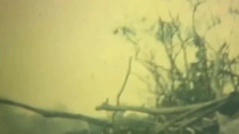 OPERATION JEB STUART III (1ST AIR CAVALR... | Stock Video | Pond5