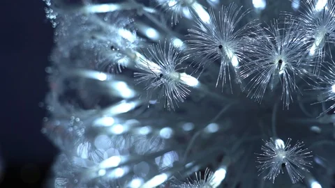 Optical fiber light; slow motion backgro... | Stock Video | Pond5