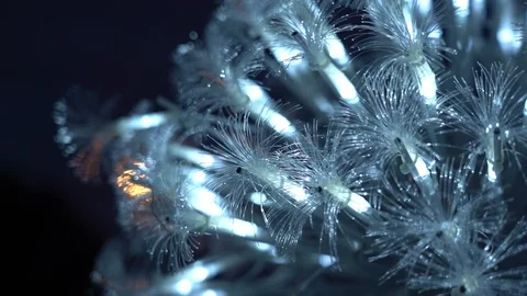 Optical fiber light; slow motion backgro... | Stock Video | Pond5