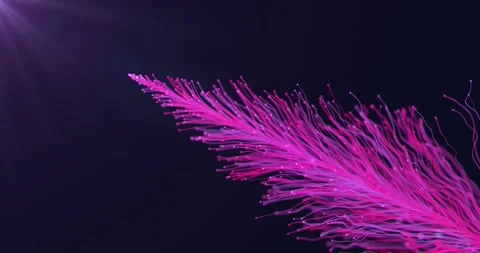 Optical fiber particles of pink color. A... | Stock Video | Pond5