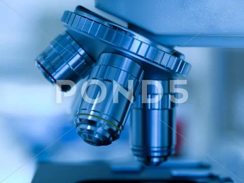 Optical microscope macro Stock Photo ~ Image #16710940