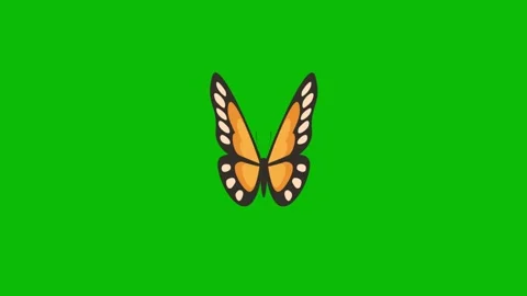 An orange 2D butterfly flying on green s... | Stock Video | Pond5