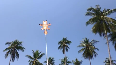 Orange Cat Kite cute and funny flying in... | Stock Video | Pond5