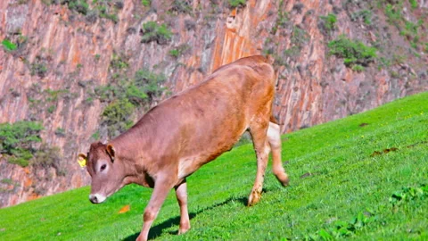 Slope Under Stock Video Footage | Royalty Free Slope Under Videos | Pond5