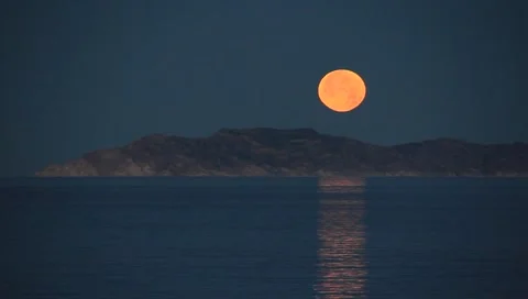 Co W Stock Videos – Royalty-Free HD & 4K Videos