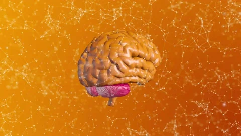 Orange Plexus Brain Background | Stock Video | Pond5