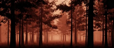 Distant Forest Stock Video Footage | Royalty Free Distant Forest Videos ...