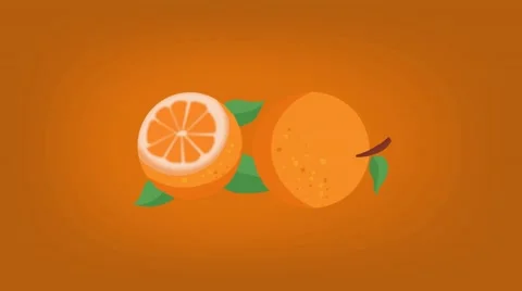 Orange - Vector Graphics - Food Animati... | Stock Video | Pond5