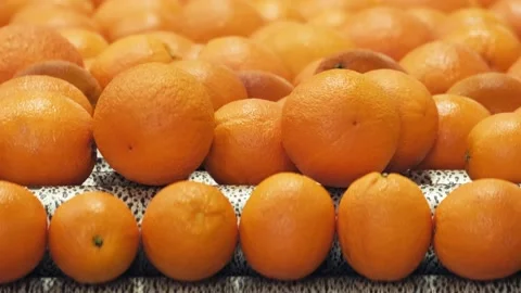 Grading Stock Video Footage | Royalty Free Grading Videos | Page 15