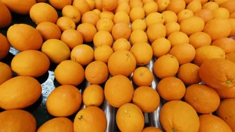 Grading Stock Video Footage | Royalty Free Grading Videos | Page 15