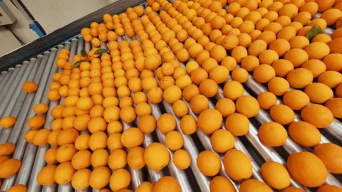 Grading Stock Video Footage | Royalty Free Grading Videos | Page 15