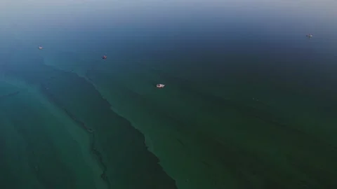 Bloomfishing Stock Videos – Royalty-Free HD & 4K Videos