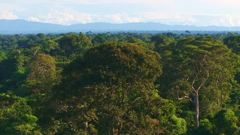Amazon Mountains Stock Videos – Royalty-Free HD & 4K Videos
