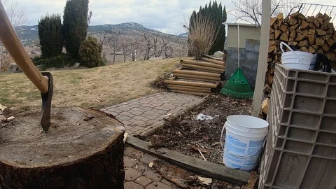 Choping Block Stock Videos – Royalty-Free HD & 4K Videos