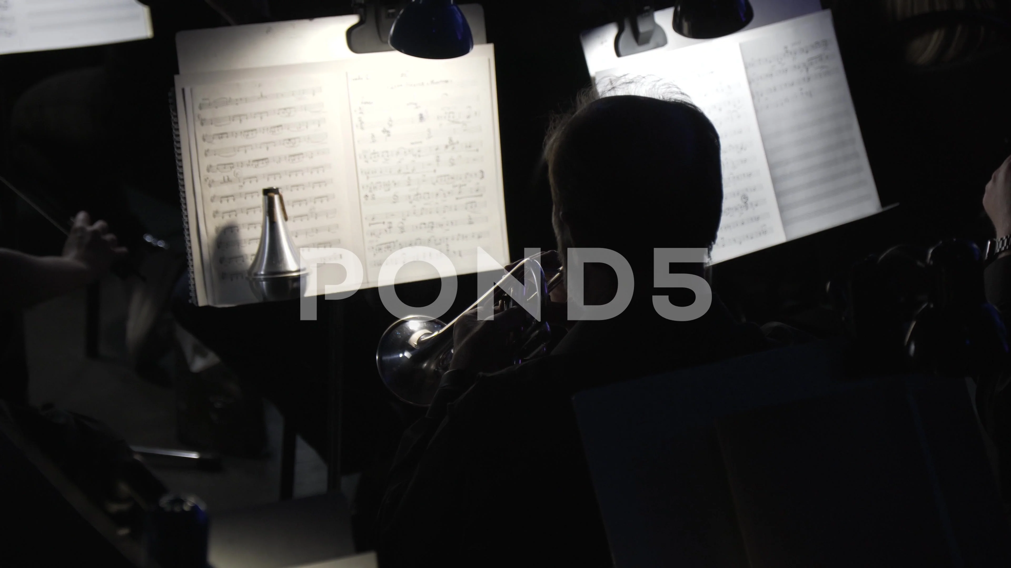 Orchestra Pit Silhouette