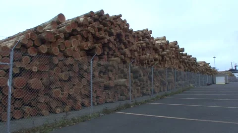 Logging Oregon Stock Footage ~ Royalty Free Stock Videos | Pond5