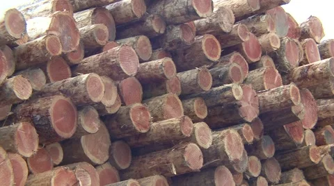 Logging Oregon Stock Footage ~ Royalty Free Stock Videos | Pond5