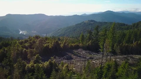 Logging Oregon Stock Footage ~ Royalty Free Stock Videos | Pond5