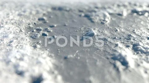 Organic background with moon texture, neutral background ~ Clip Art ...