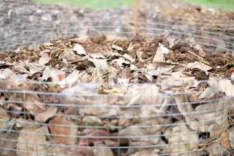 Photograph: Organic compost heap. fertilizer production for soil ...