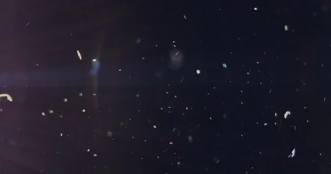 Organic Dust Particles With Lens Flares ... | Stock Video | Pond5